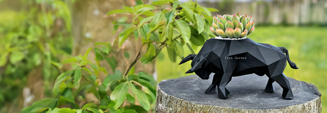 Posh Garden – Posh Garden